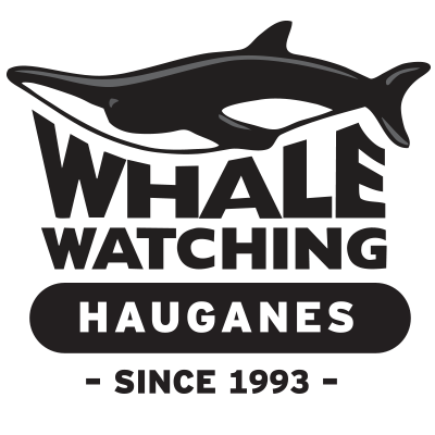 whale-logo-trans | Iceland Whale Watching Hauganes Tours